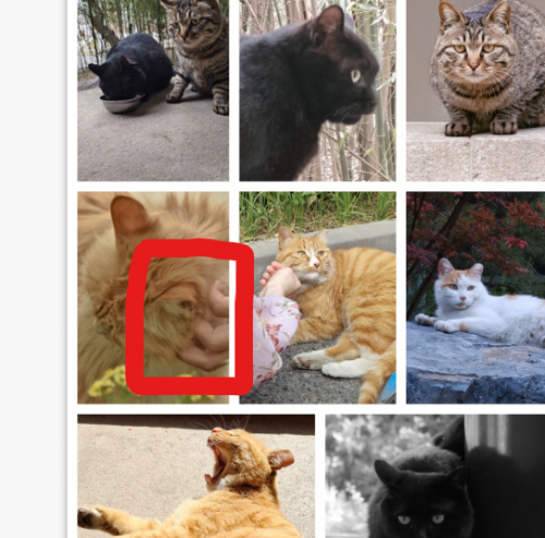 Files by Grace_qy (grace_qy) - imgur (English)